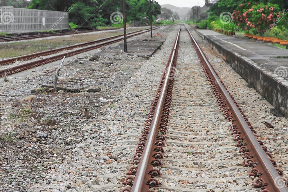 Railway line track classic stock image. Image of nature - 94969397