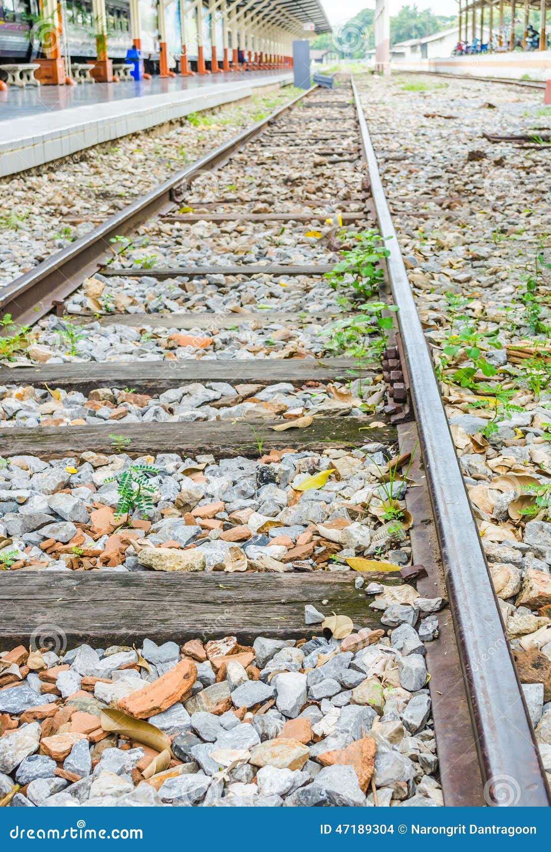 Railway Lines Travel through a Railway Station Stock Photo - Image of ...