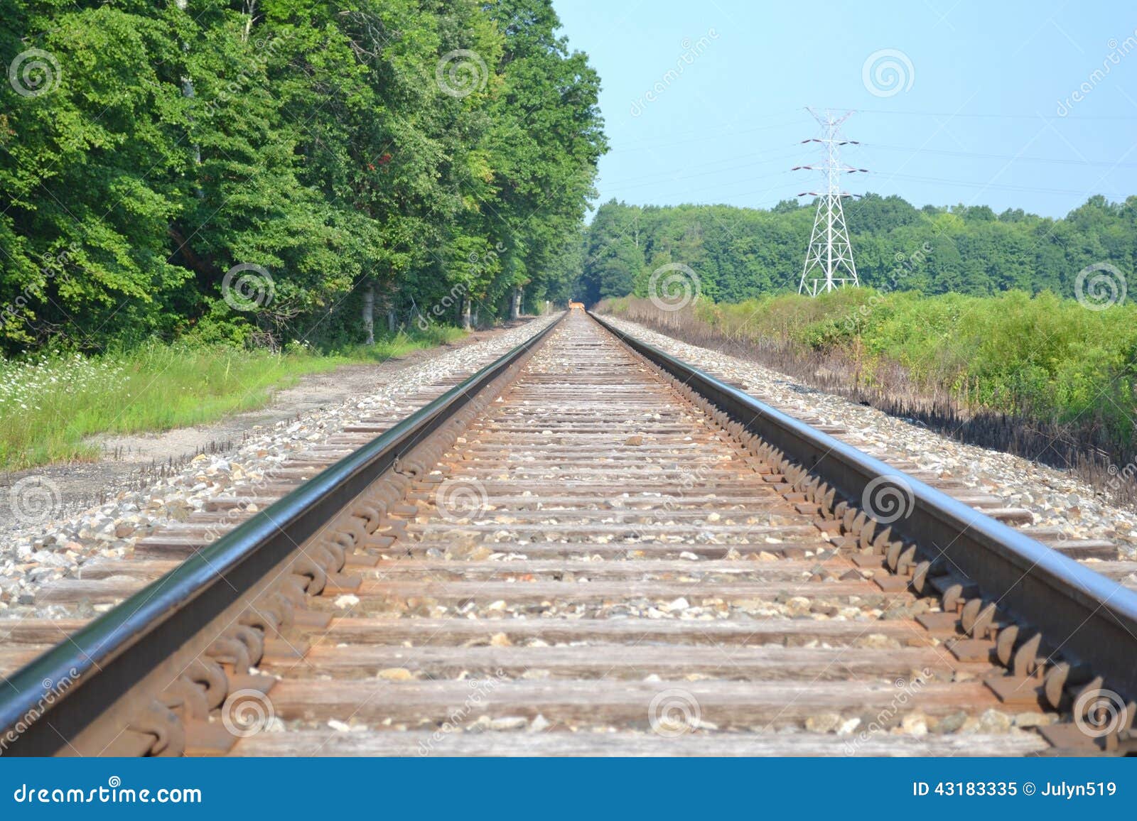 On the railway stock image. Image of train, rails, crossing - 43183335