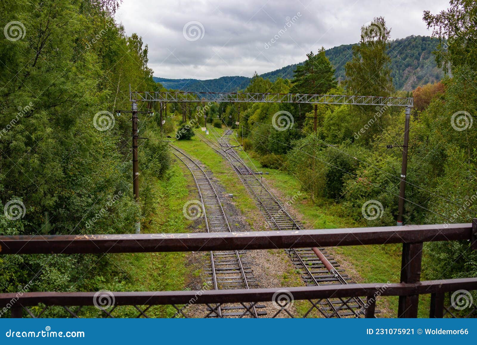 Railway in the Middle of the Forest. Alternate Paths. Stock Image ...
