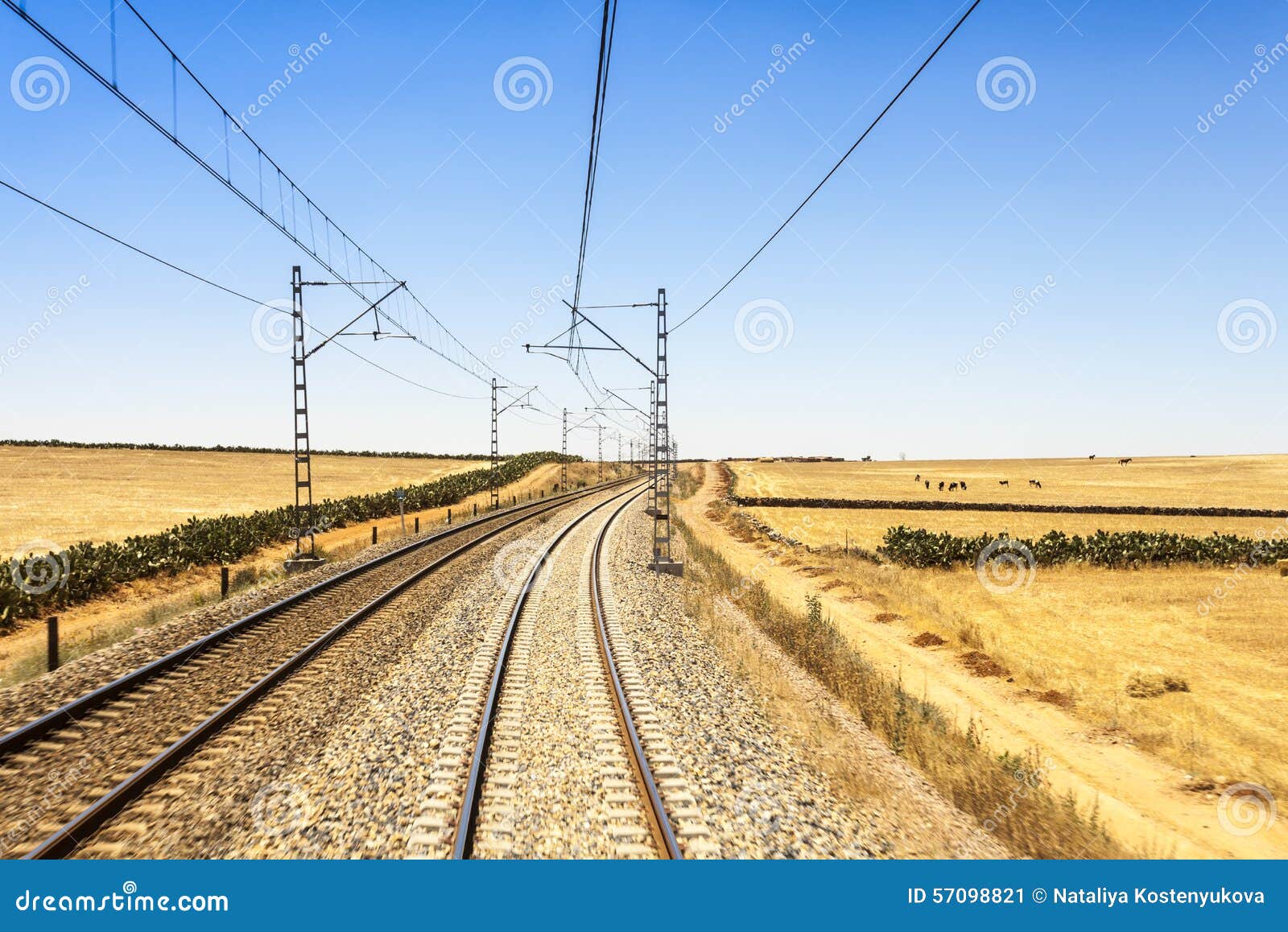 Railway in Morocco stock image. Image of bright, transportation - 57098821