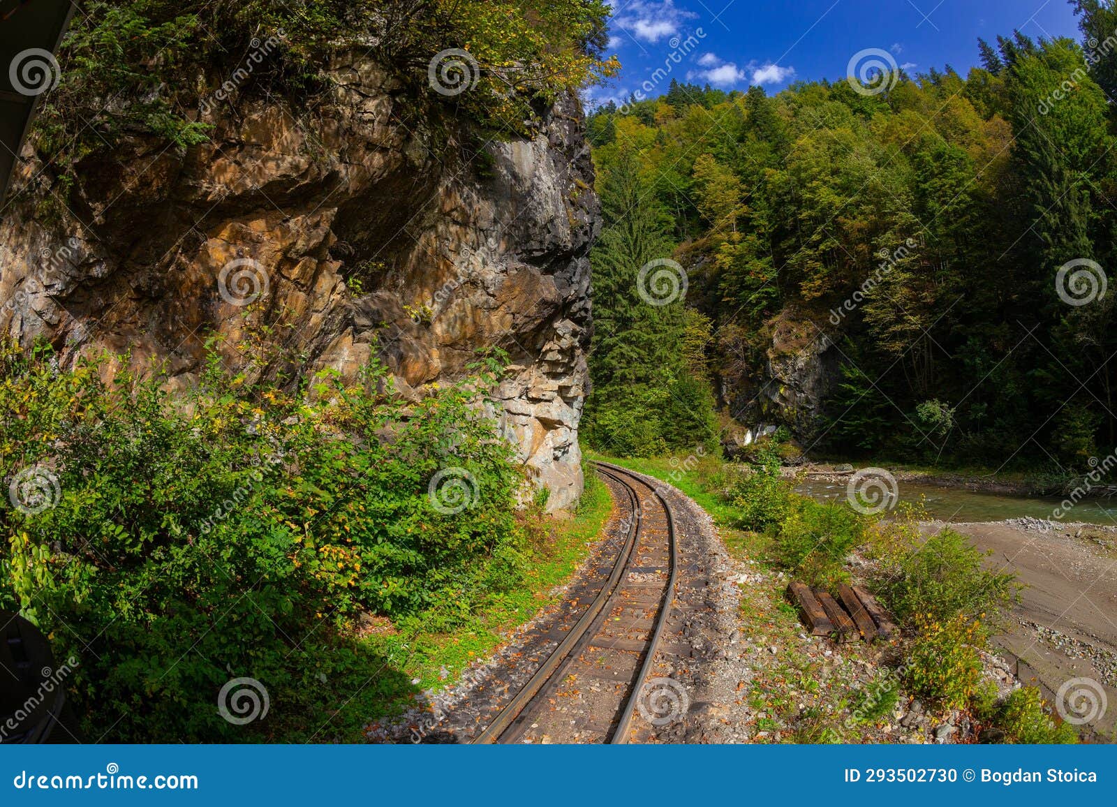 Railway in Nature on Steam Train Stock Photo - Image of forest, cliffs ...