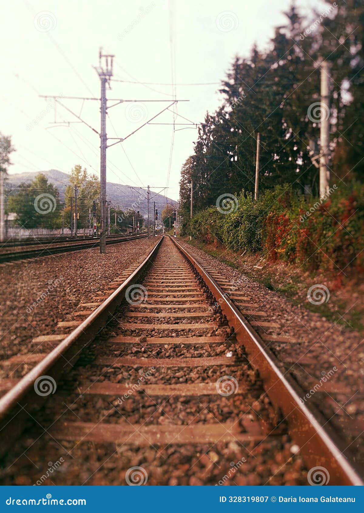 On the Railway with No Train Around Stock Image - Image of vehicle ...