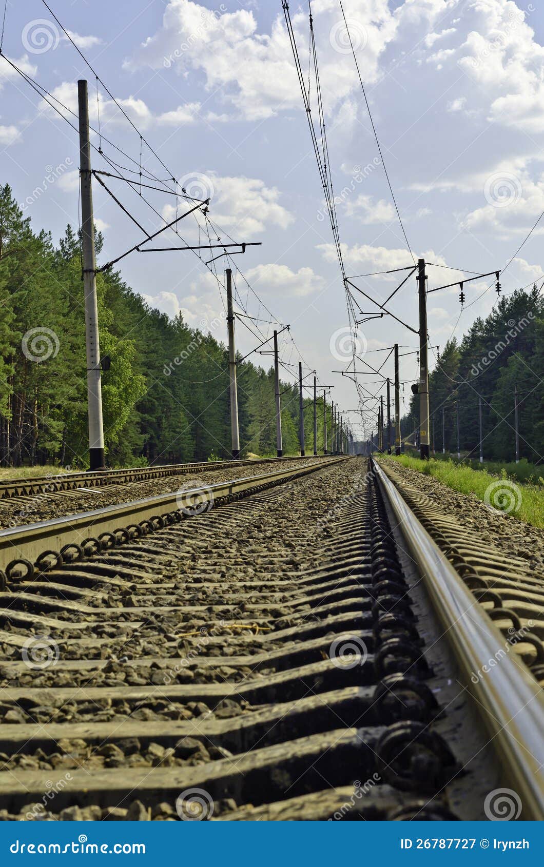 The Railway through the Pine Forest Stock Image - Image of trip ...