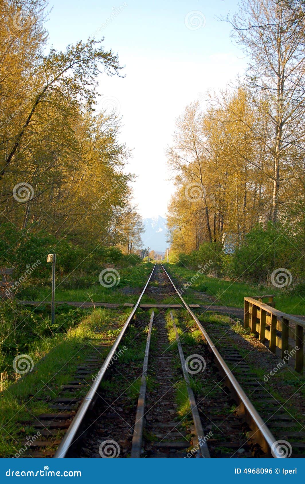 Railway racks in spring stock photo. Image of train, riding - 4968096