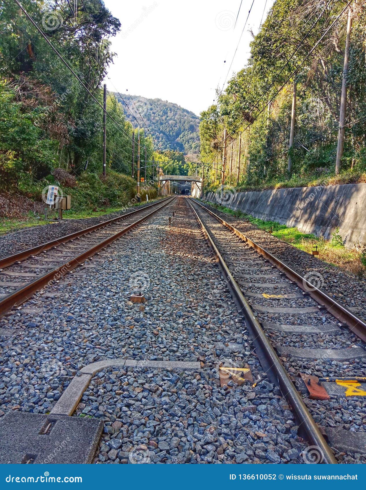 Railroad tracks stock photo. Image of green, industry - 136610052