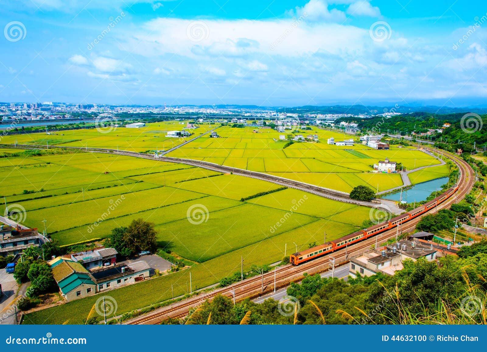 Railway and the rice field stock photo. Image of country - 44632100