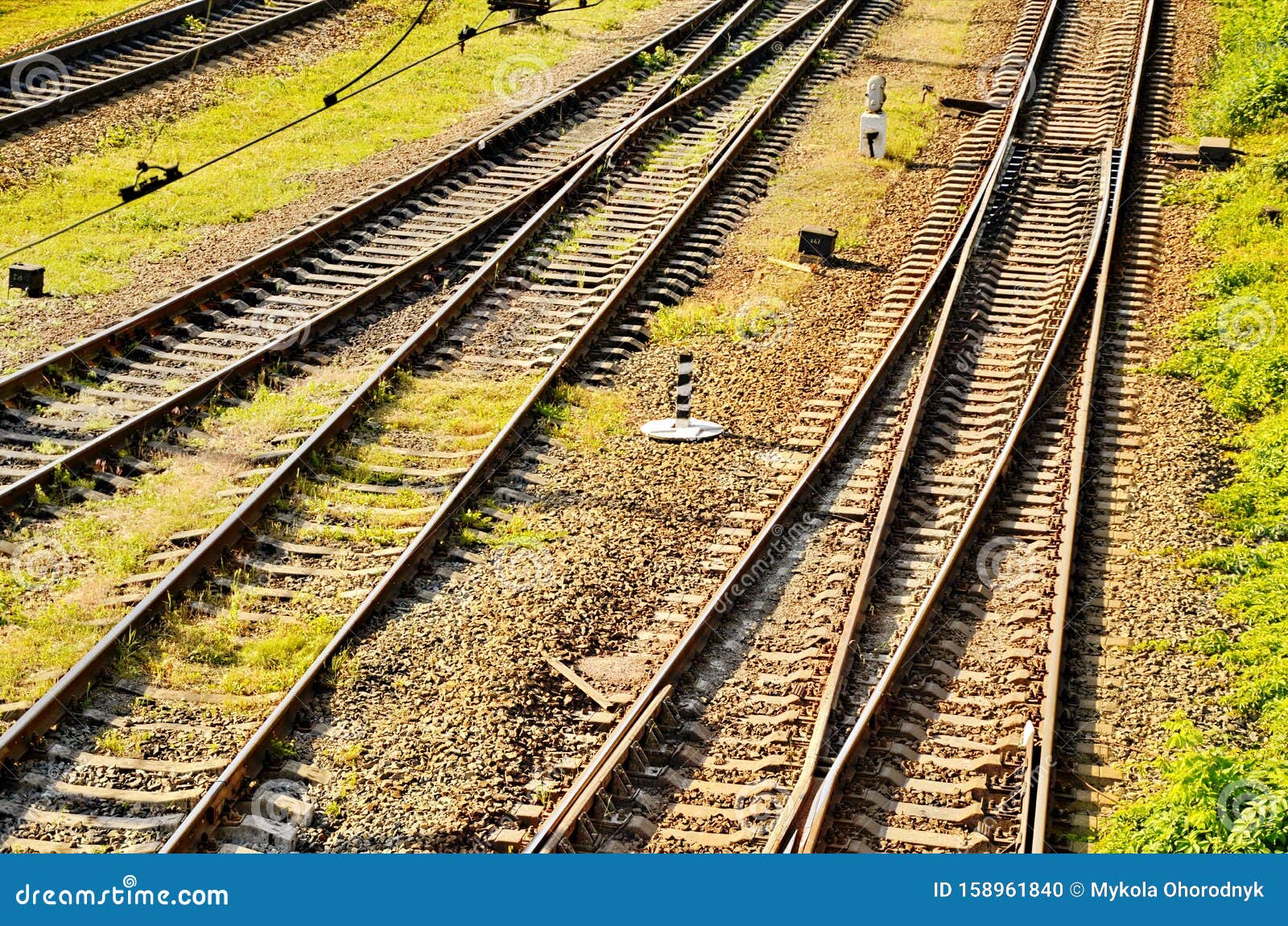 Railroad track rails stock photo. Image of distance - 158961840