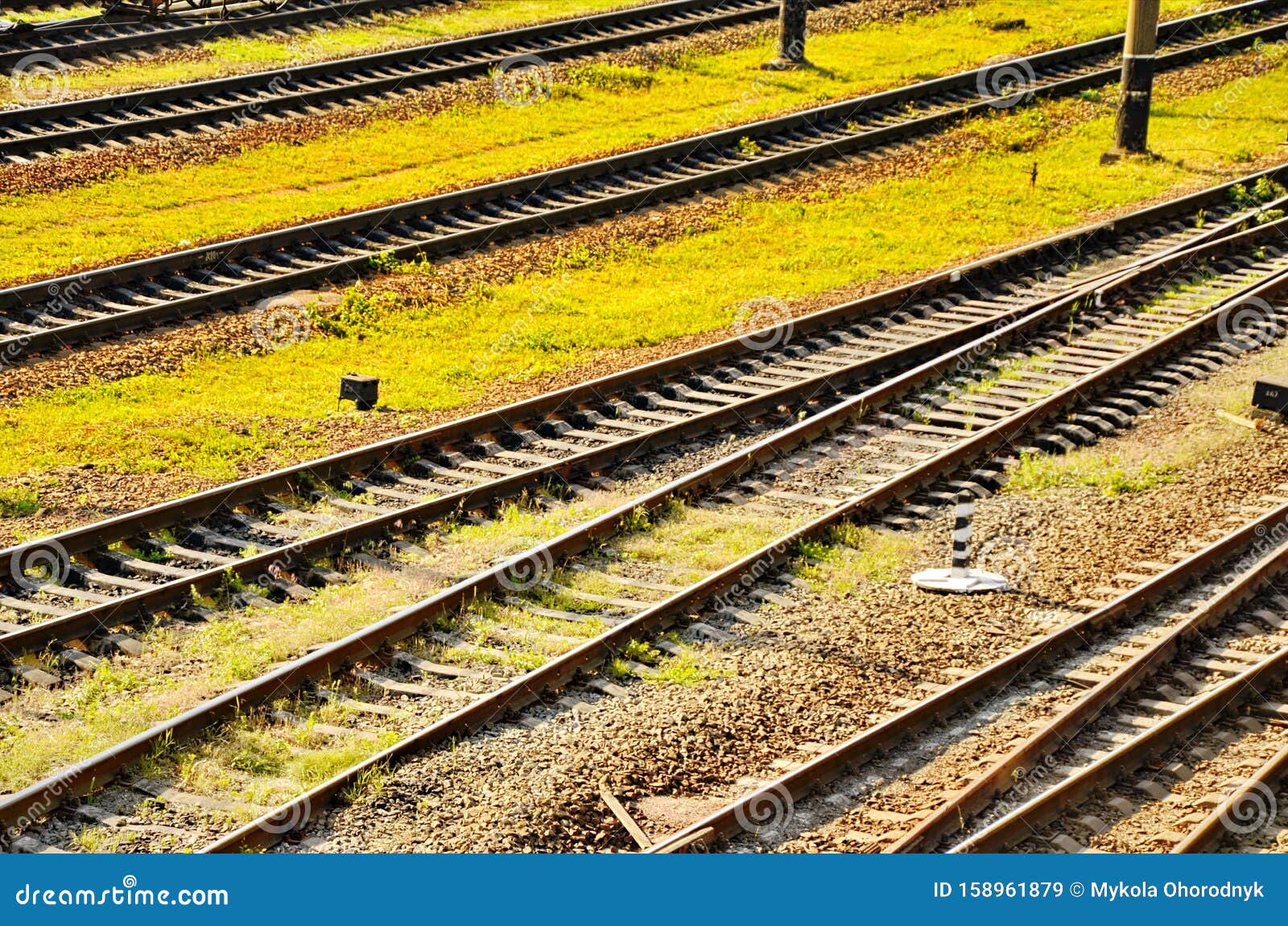 Railroad track rails stock image. Image of curve, nature - 158961879