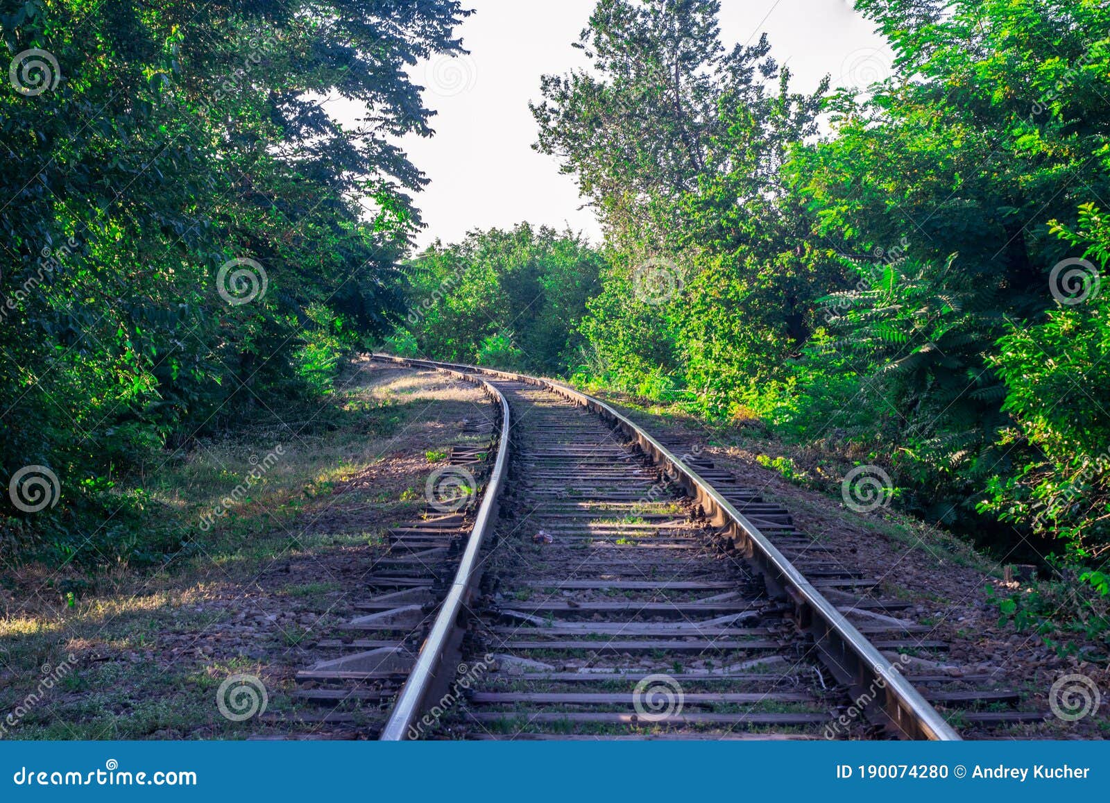 Railway in a Rural Landscape. Railway Track Stock Photo - Image of ...