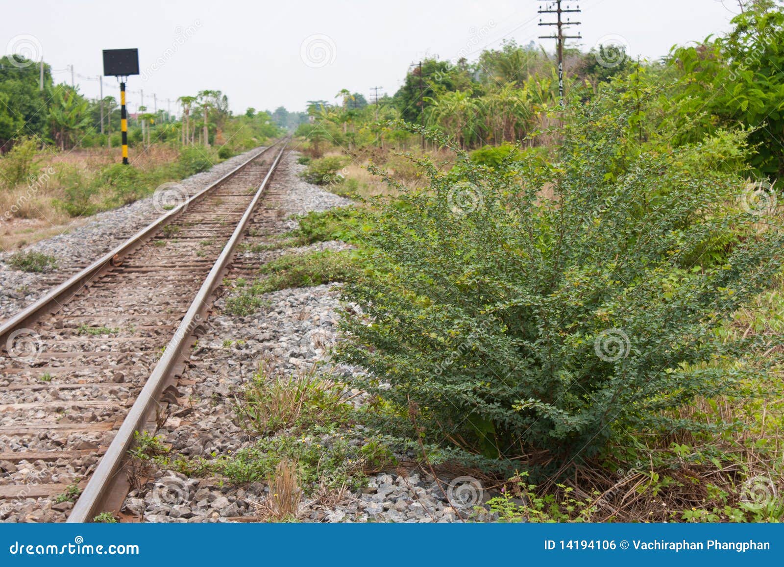 Railway Sidewalk and the Tree Stock Photo - Image of buddhist, clouds ...