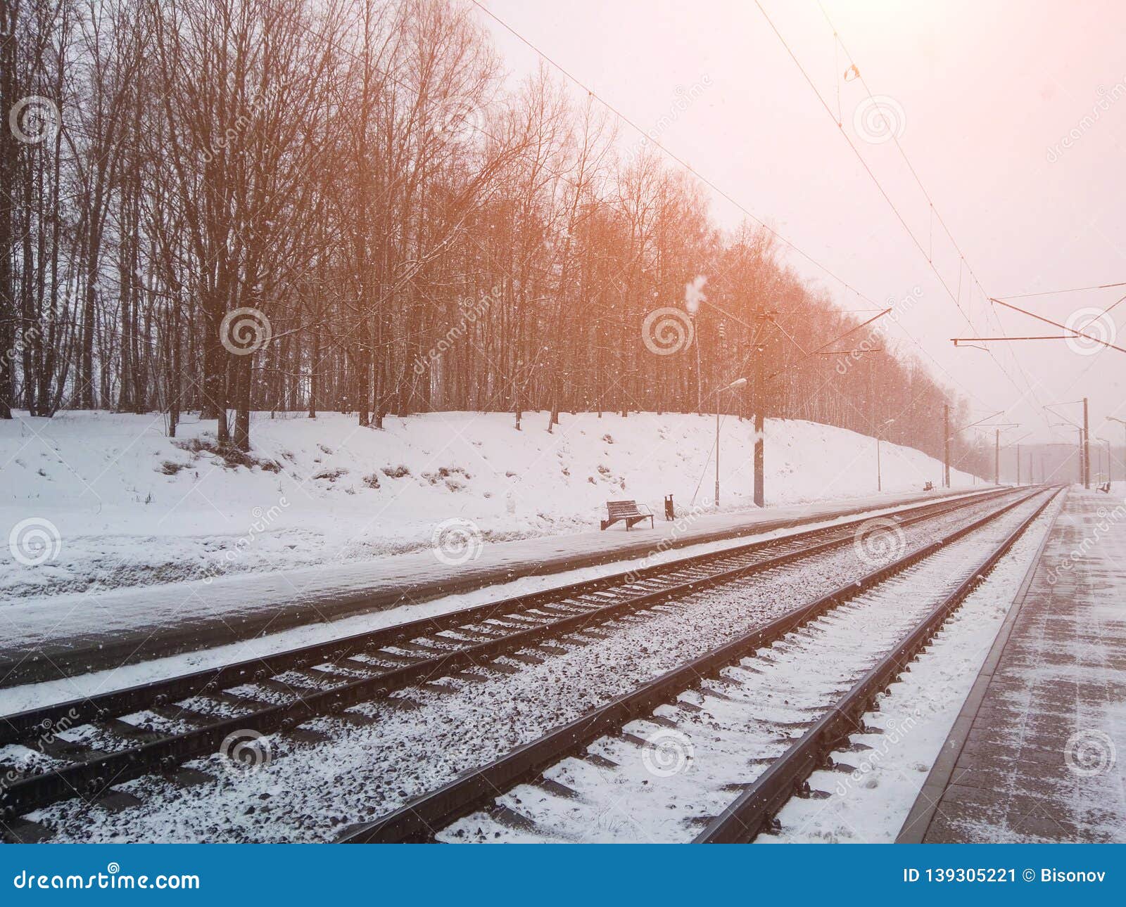 Railway in Snow. Winter Landscape Stock Image - Image of line, tree ...