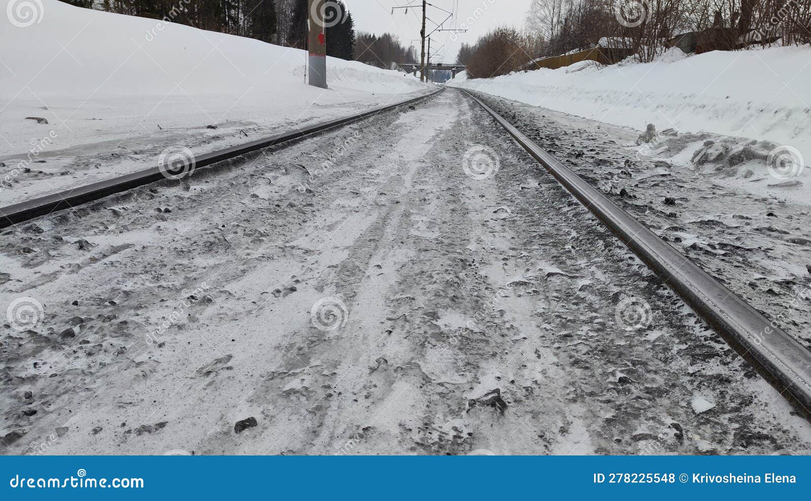 Railway in Snow. Winter Landscape with Empty Rail Tracks in a Cold Day ...