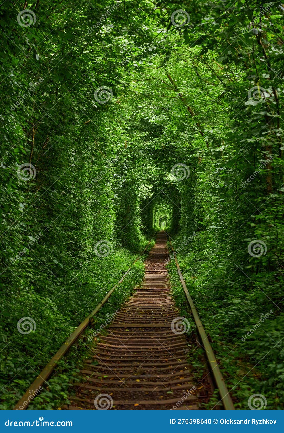 Railway in the Spring Forest Tunnel of Love Stock Photo - Image of ...