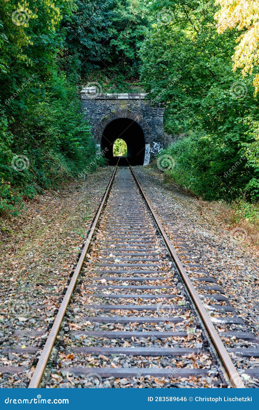 A Railway in the Spring Forest. Tunnel of Rails, Trees and the Railroad ...