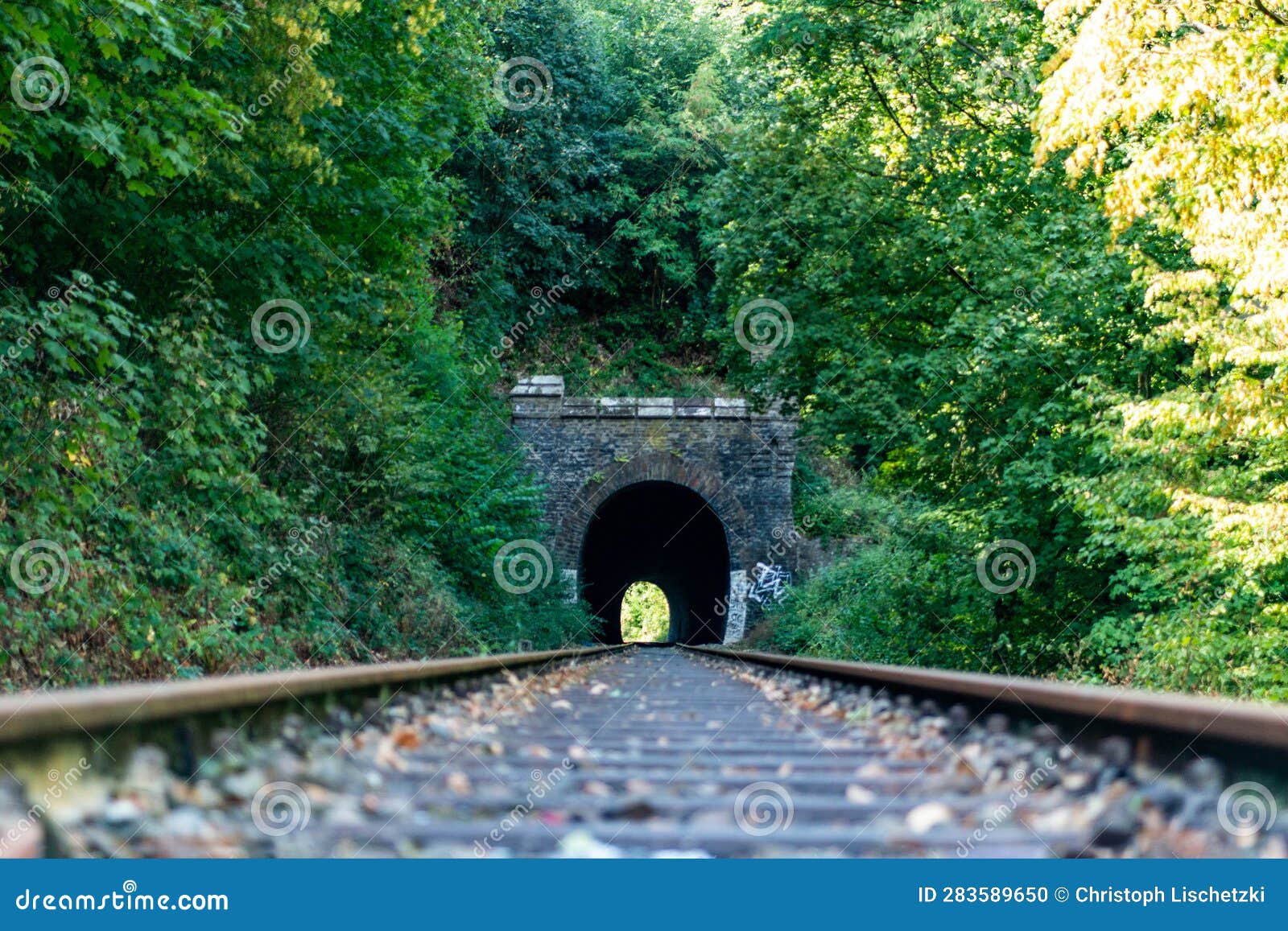 A Railway in the Spring Forest. Tunnel of Rails, Trees and the Railroad ...