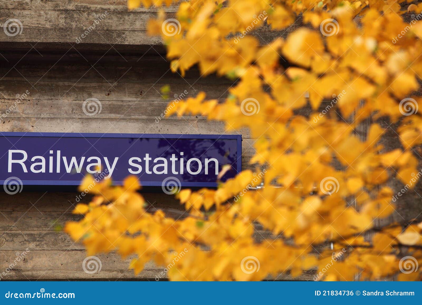 Railway station sign stock photo. Image of station, leaves - 21834736