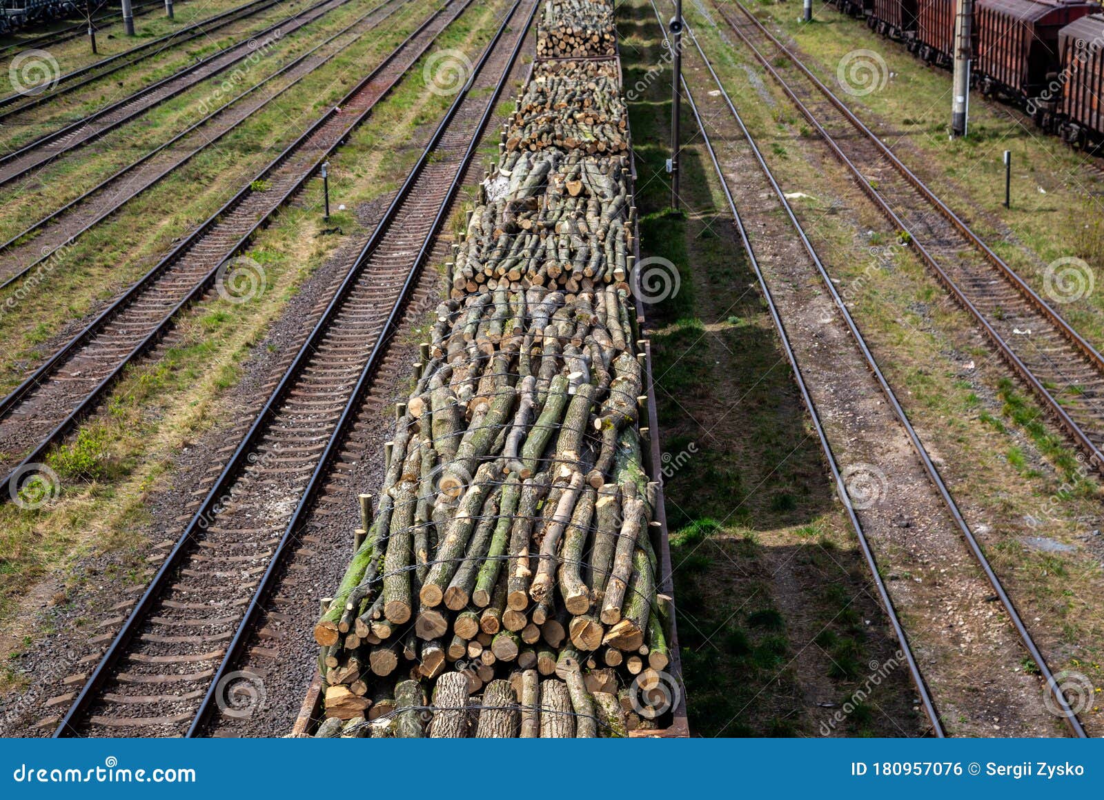 Railway Station with Wagons with Felled Forest. Stock Photo - Image of ...