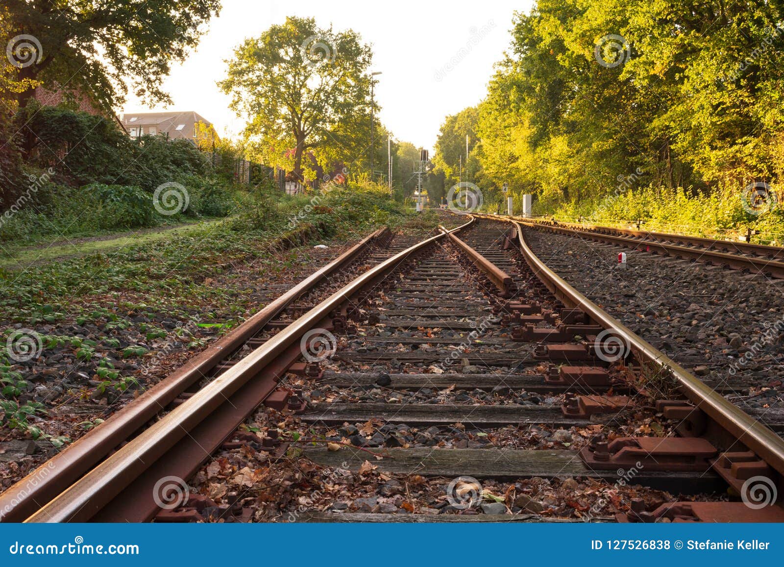 Railway Switch in the Morning Light Stock Photo - Image of track ...