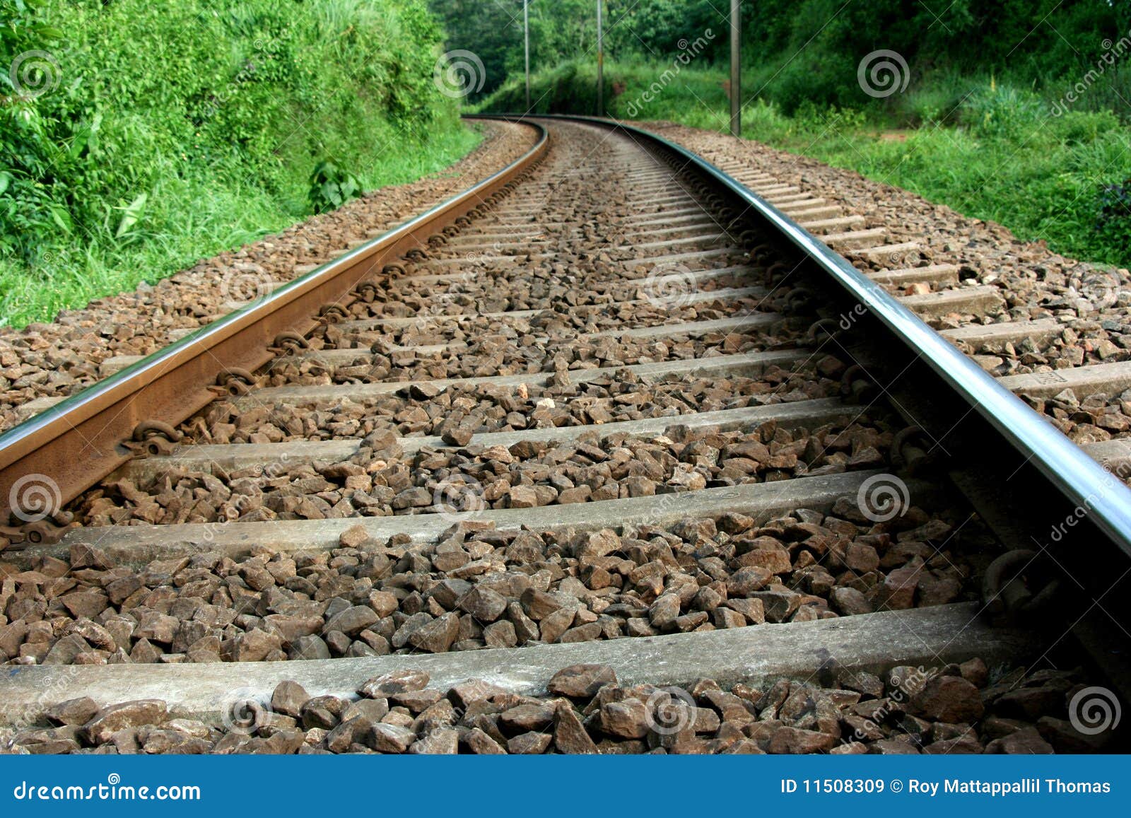 Railway track stock image. Image of greenery, nature - 11508309