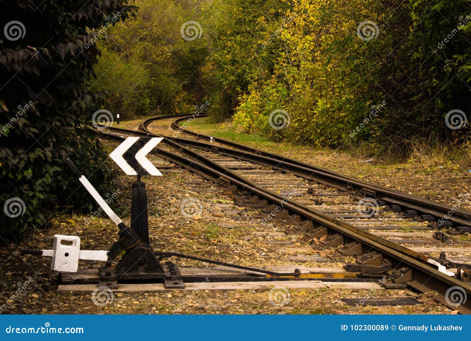 Railway Track with an Arrow in the Forest Stock Image - Image of grass ...