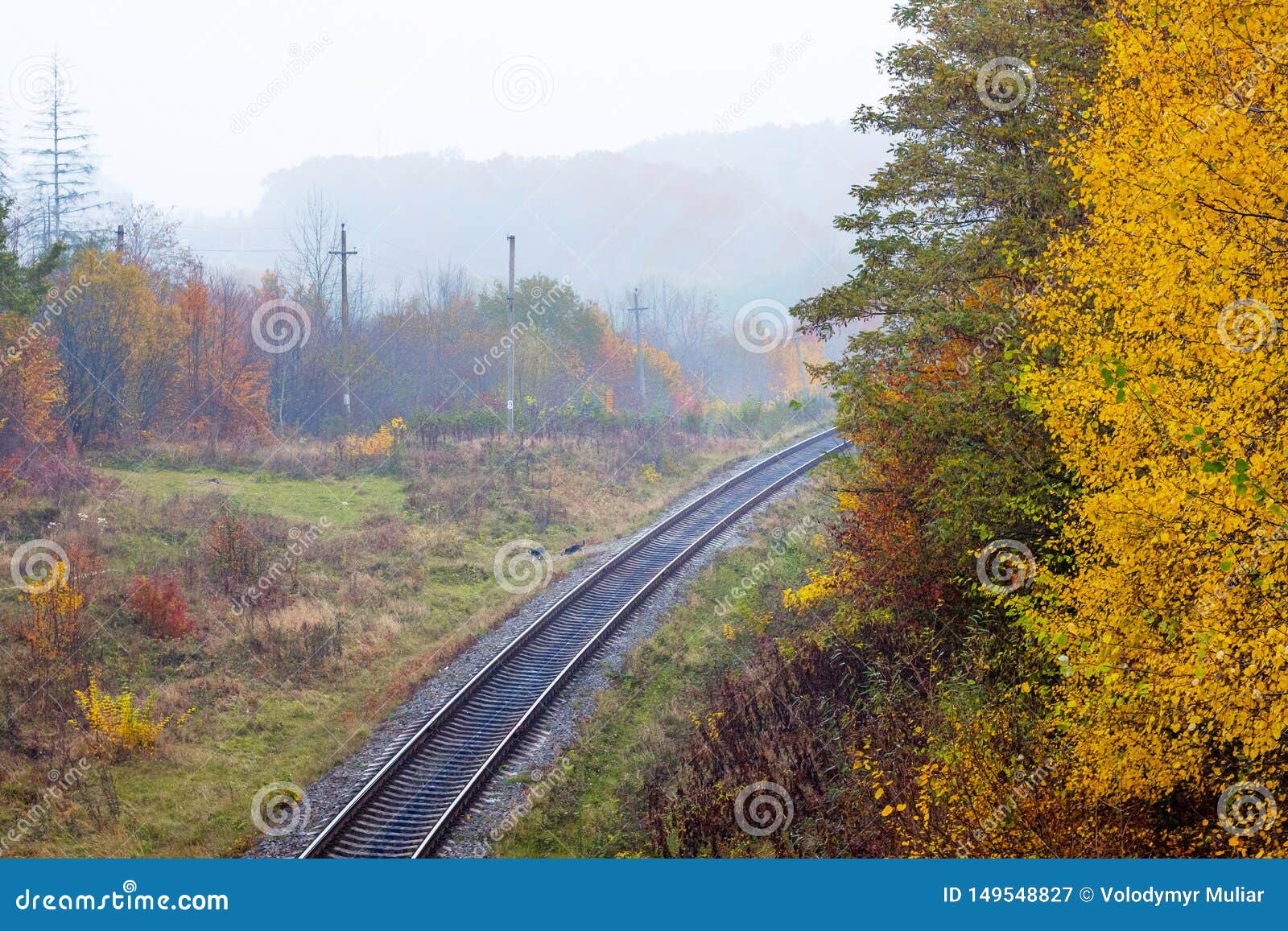 Railway Track in the Autumn Forest, Top View_ Stock Image - Image of ...