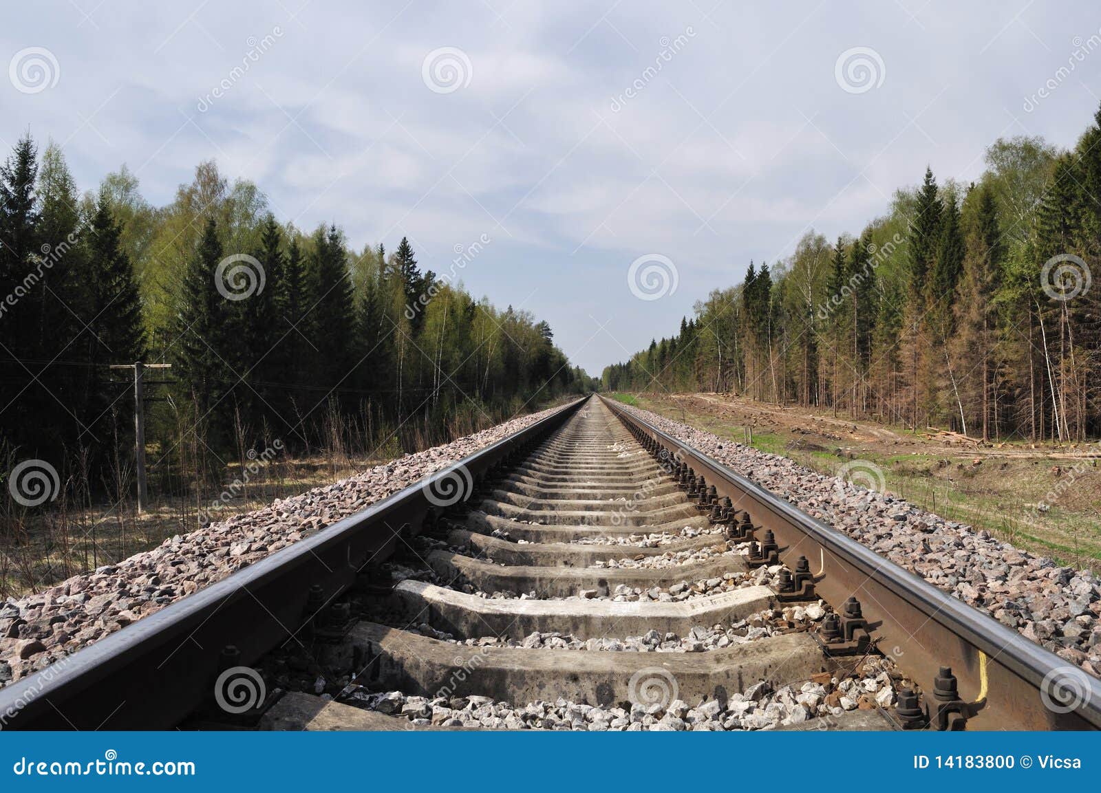 Railway track in forest stock photo. Image of background - 14183800
