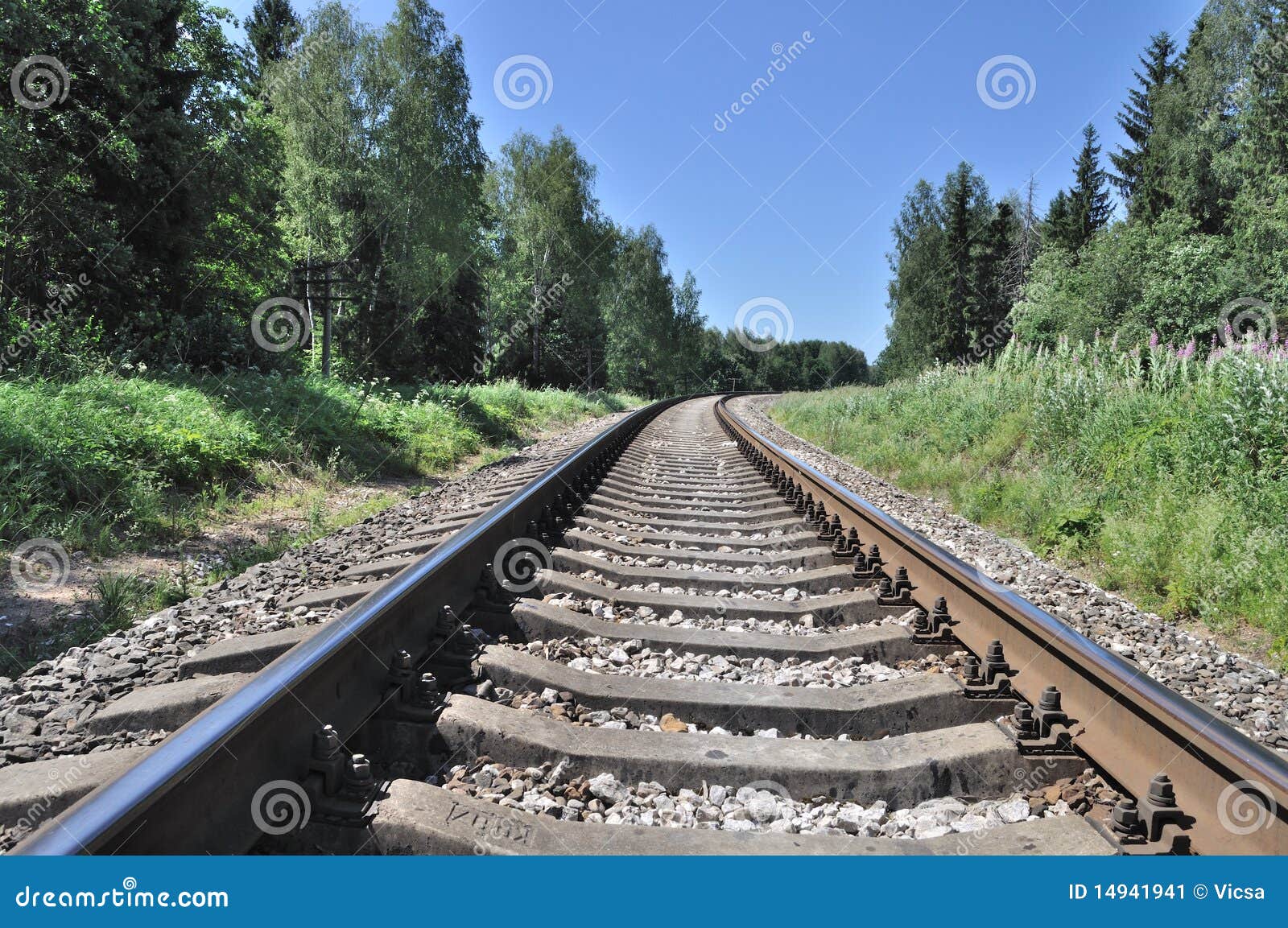 Railway track in forest stock image. Image of forest - 14941941