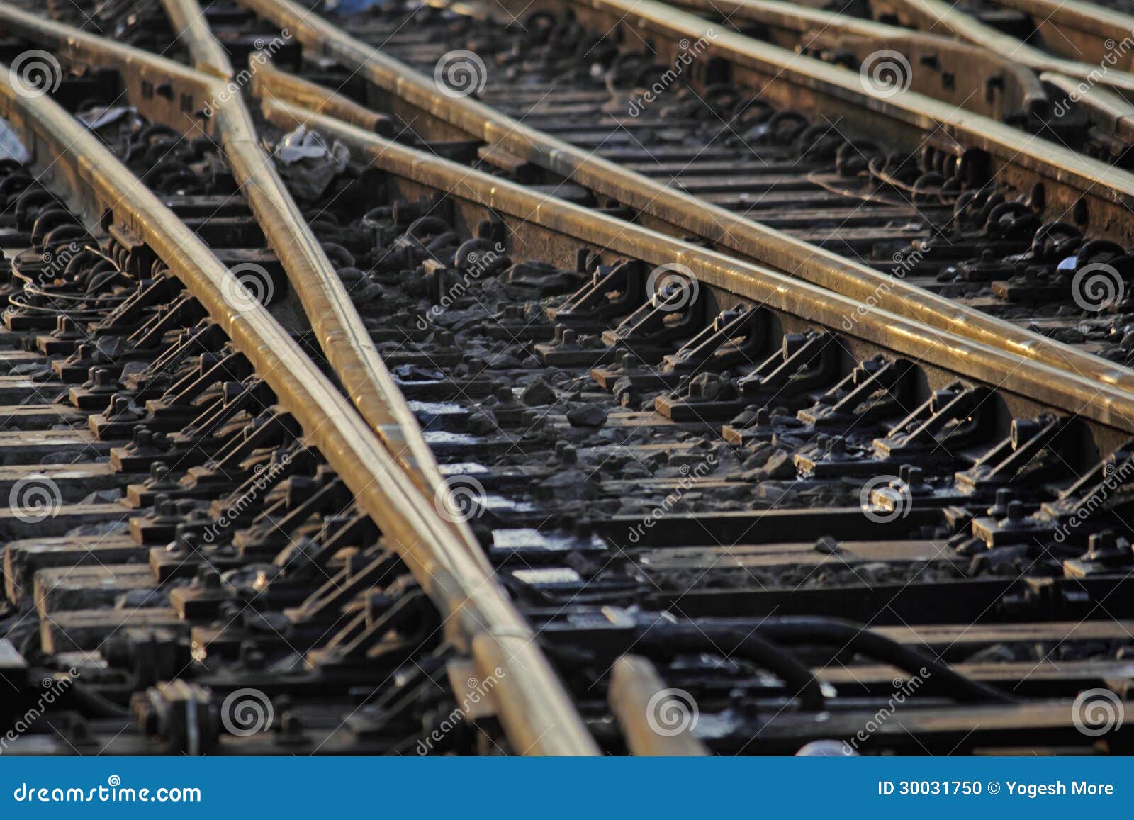 Merging Railway Lines Stock Photography | CartoonDealer.com #22504460