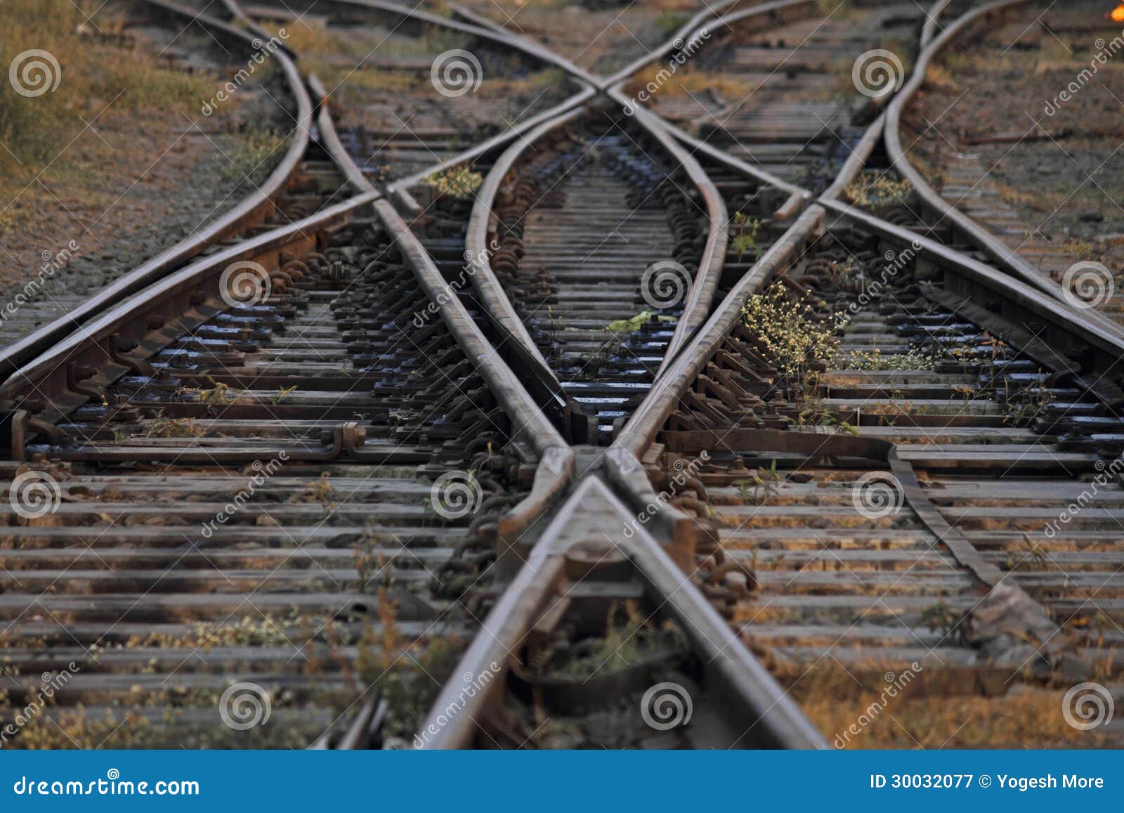 Merging Railway Lines Stock Photography | CartoonDealer.com #22504460