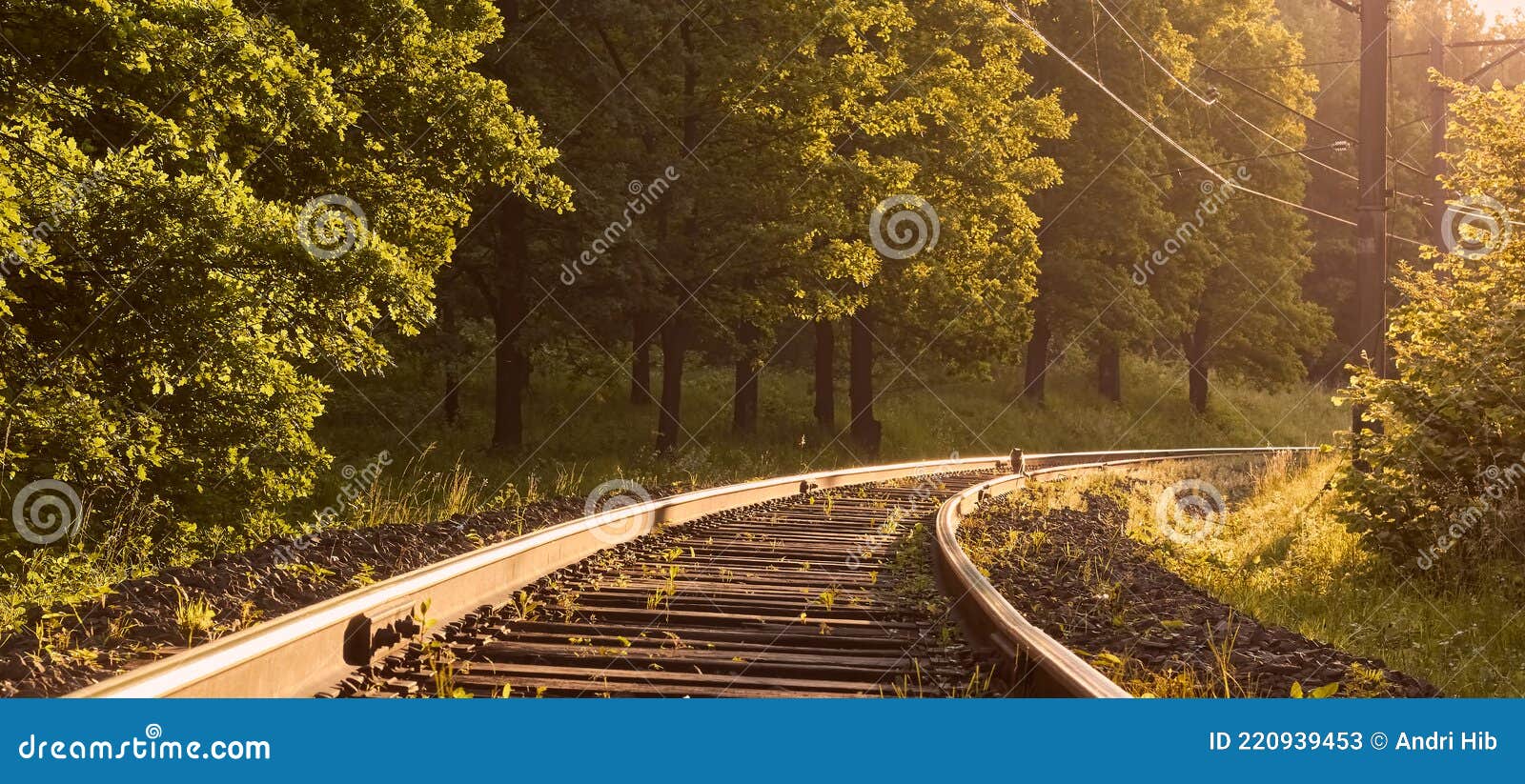 Railway Track in the Middle of a Beautiful Forest. Stock Image - Image ...