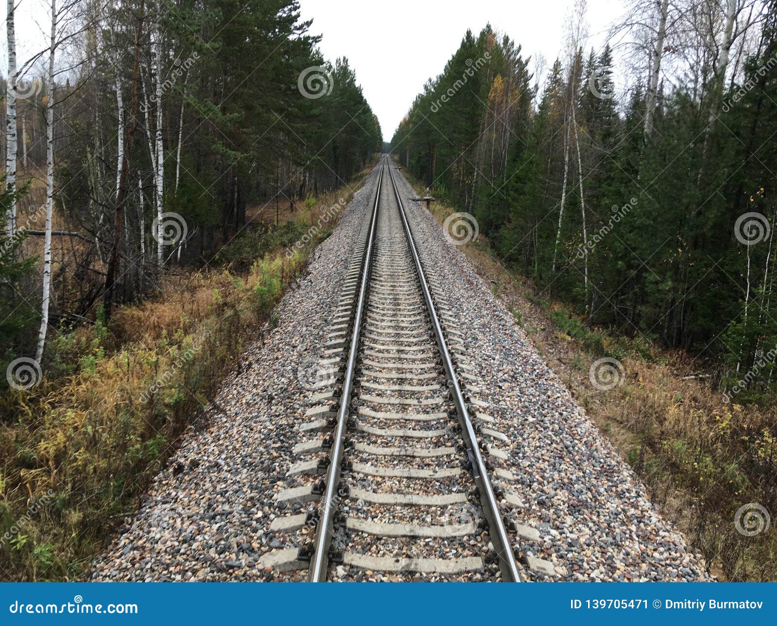 Railway Track in the Middle of the Forest Stock Image - Image of autumn ...