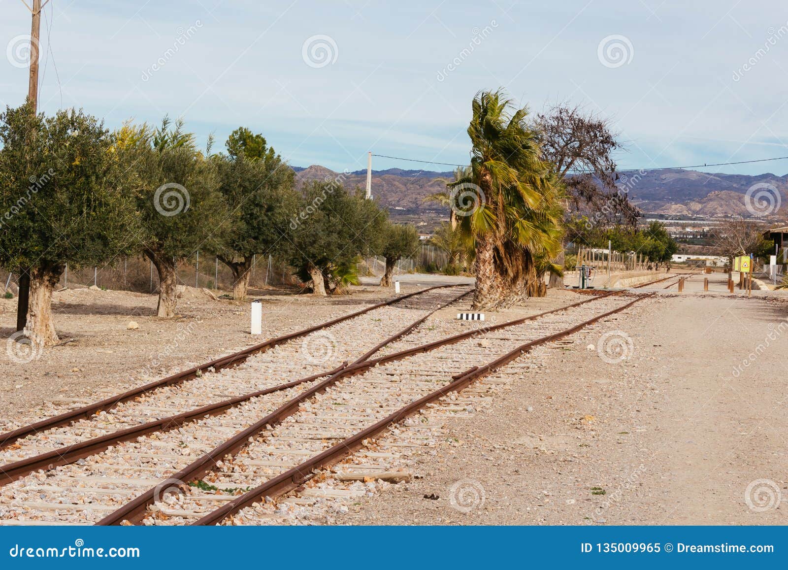 Railway Track with Planted Trees Stock Image - Image of track, black ...