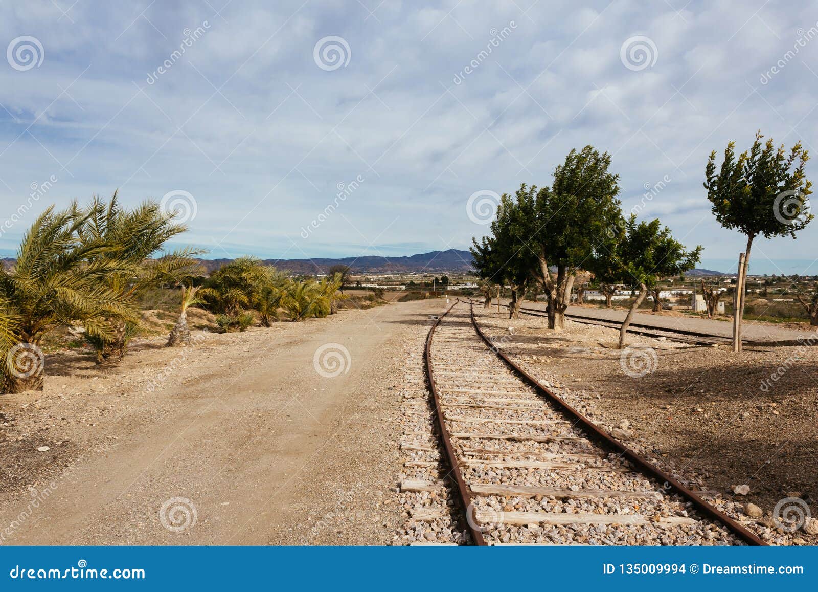 Railway Track with Planted Trees Stock Photo - Image of device, line ...