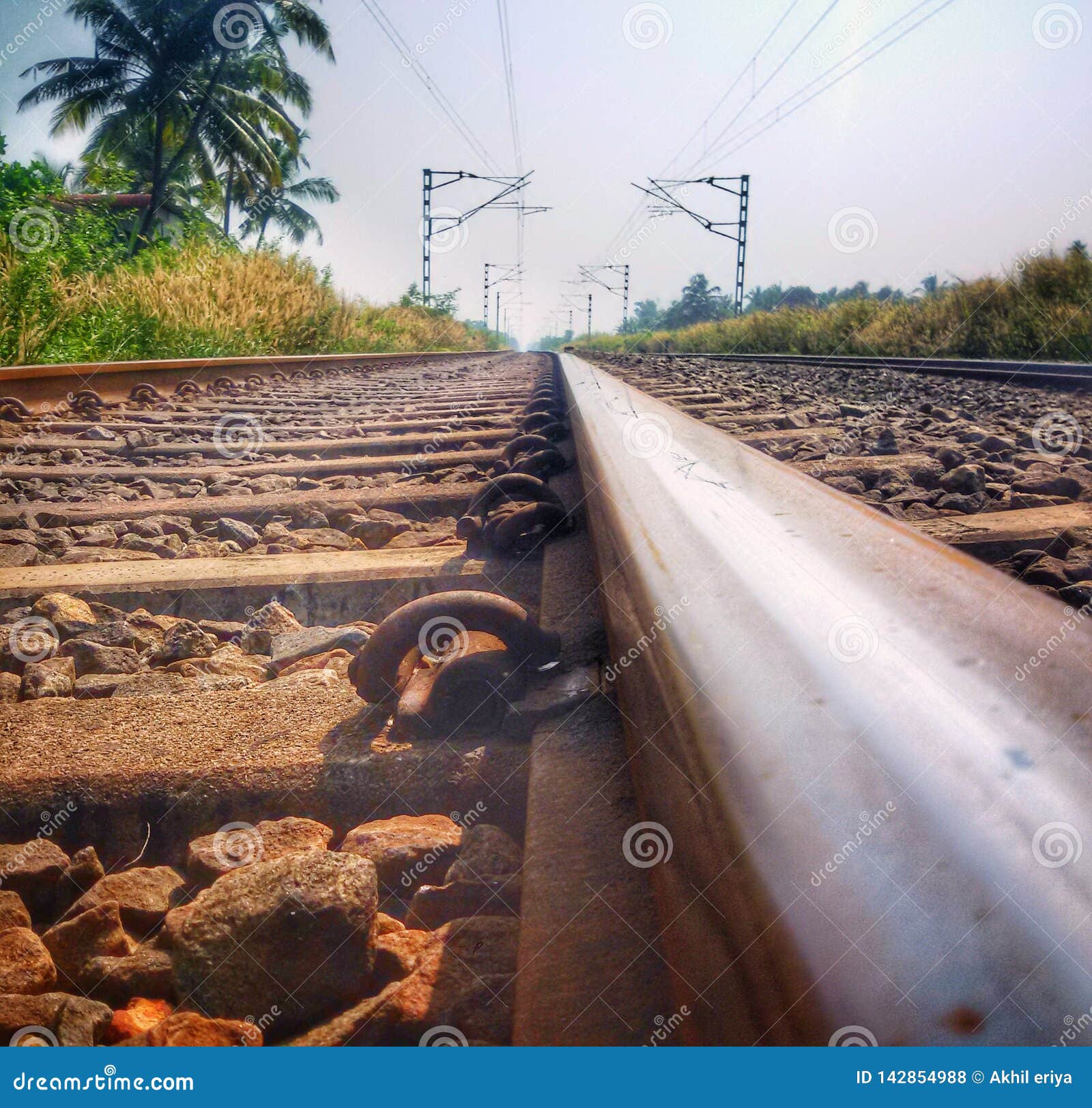 Railway track stock photo. Image of beautiful, railway - 142854988