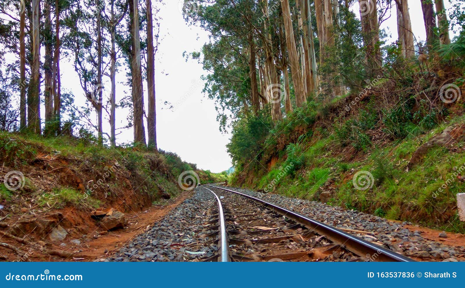 Railway Track Running Over the Hill Stock Photo - Image of rails ...