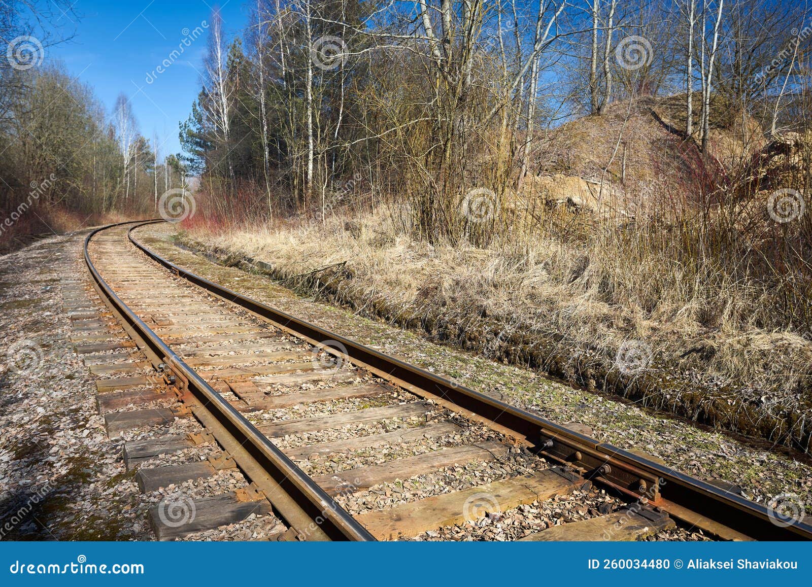 Railway Track in the Spring Forest with Blue Sky with Railway Drainage ...