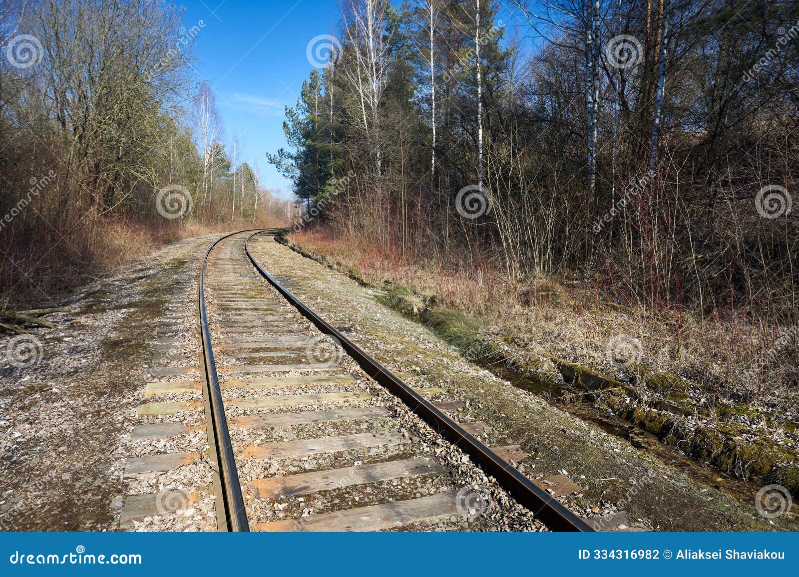 Railway Track In The Spring Forest With Blue Sky With Railway Drainage ...