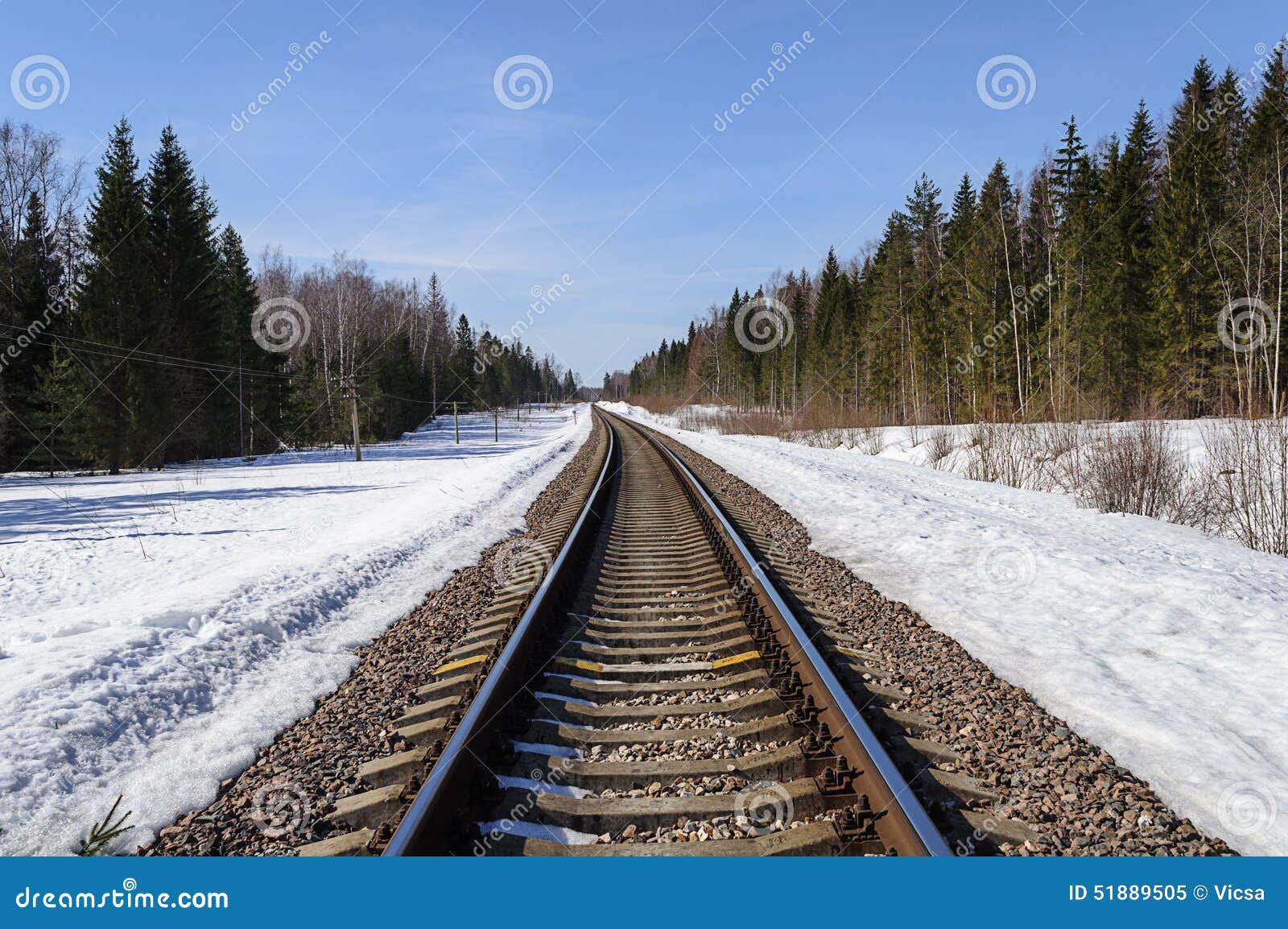 Railway Track in Spring Forest Stock Image - Image of tree, railway ...