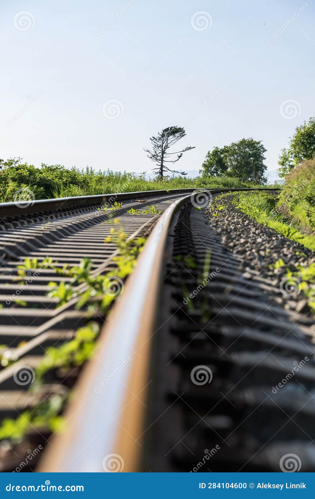 Railway Track with Trees and Blue Sky Stock Photo - Image of waterway ...