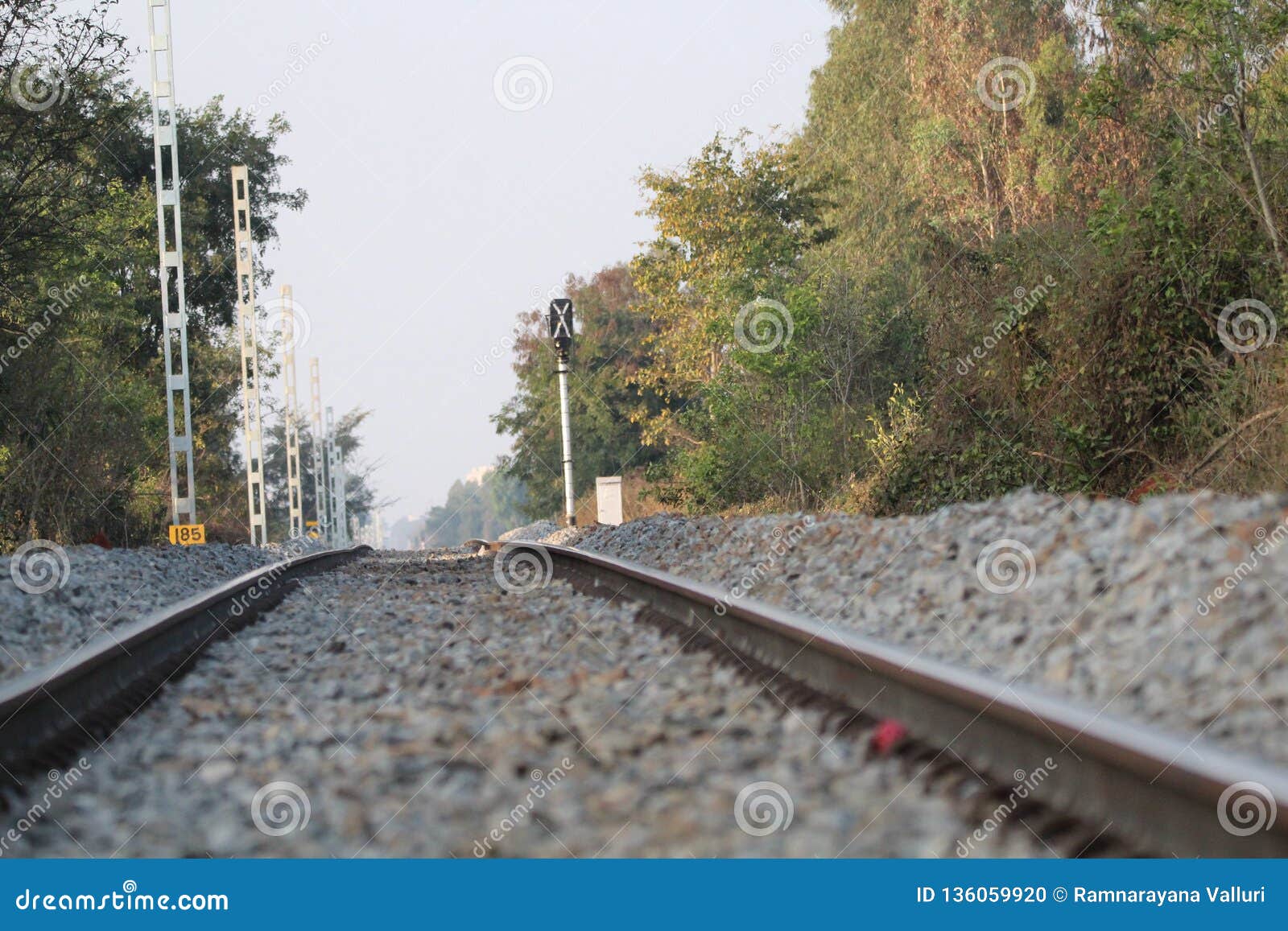 Railway Track between Trees, Single Track ,stones Stock Photo - Image ...