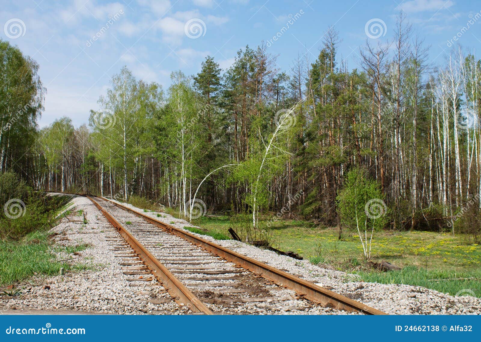 Railway track in the woods stock photo. Image of pine - 24662138