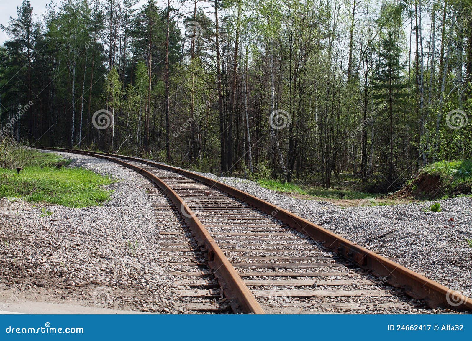 Railway track in the woods stock image. Image of travel - 24662417