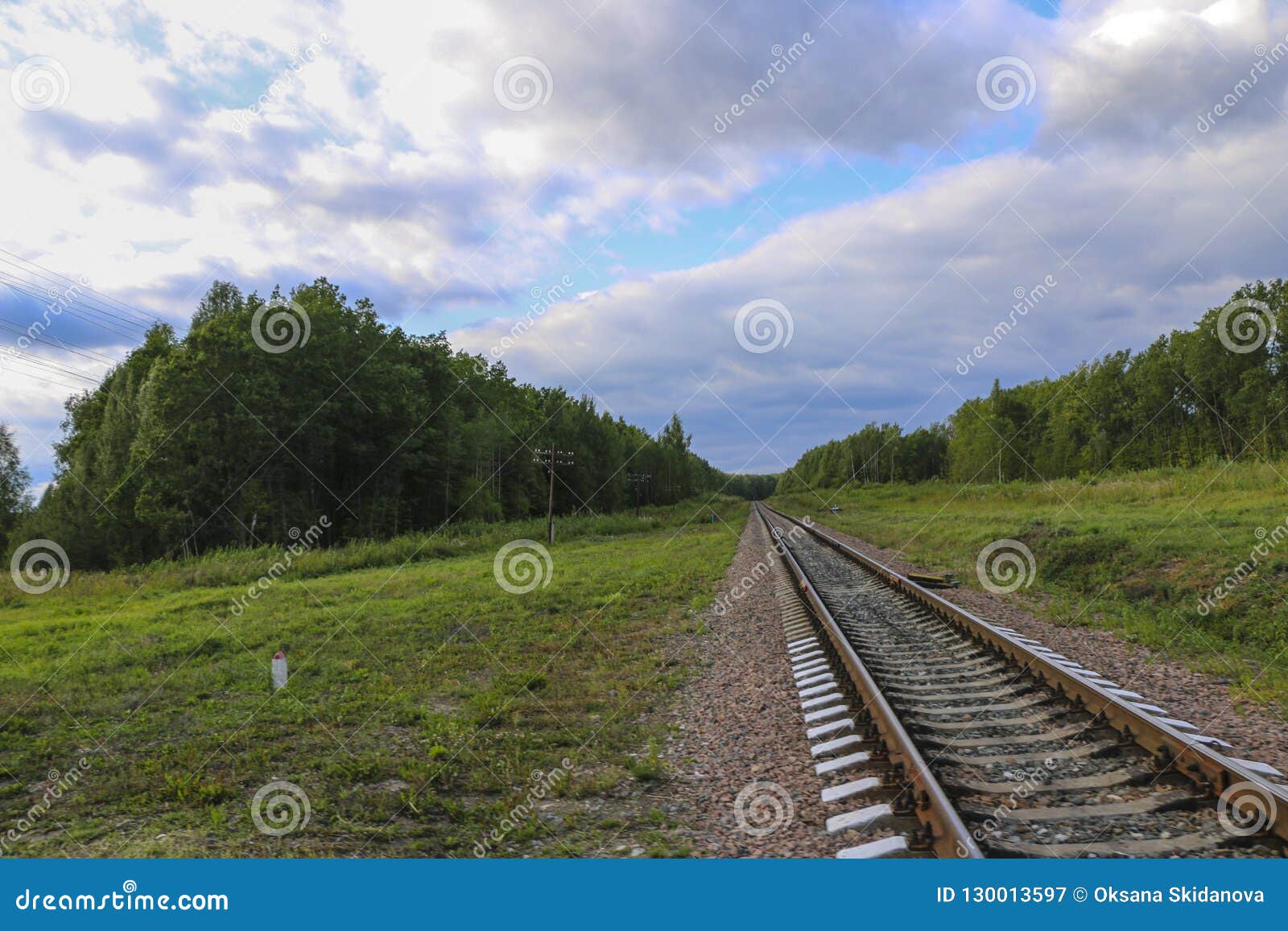 Railway. Railway Tracks among Green Forest and Grass. Empty Rails ...
