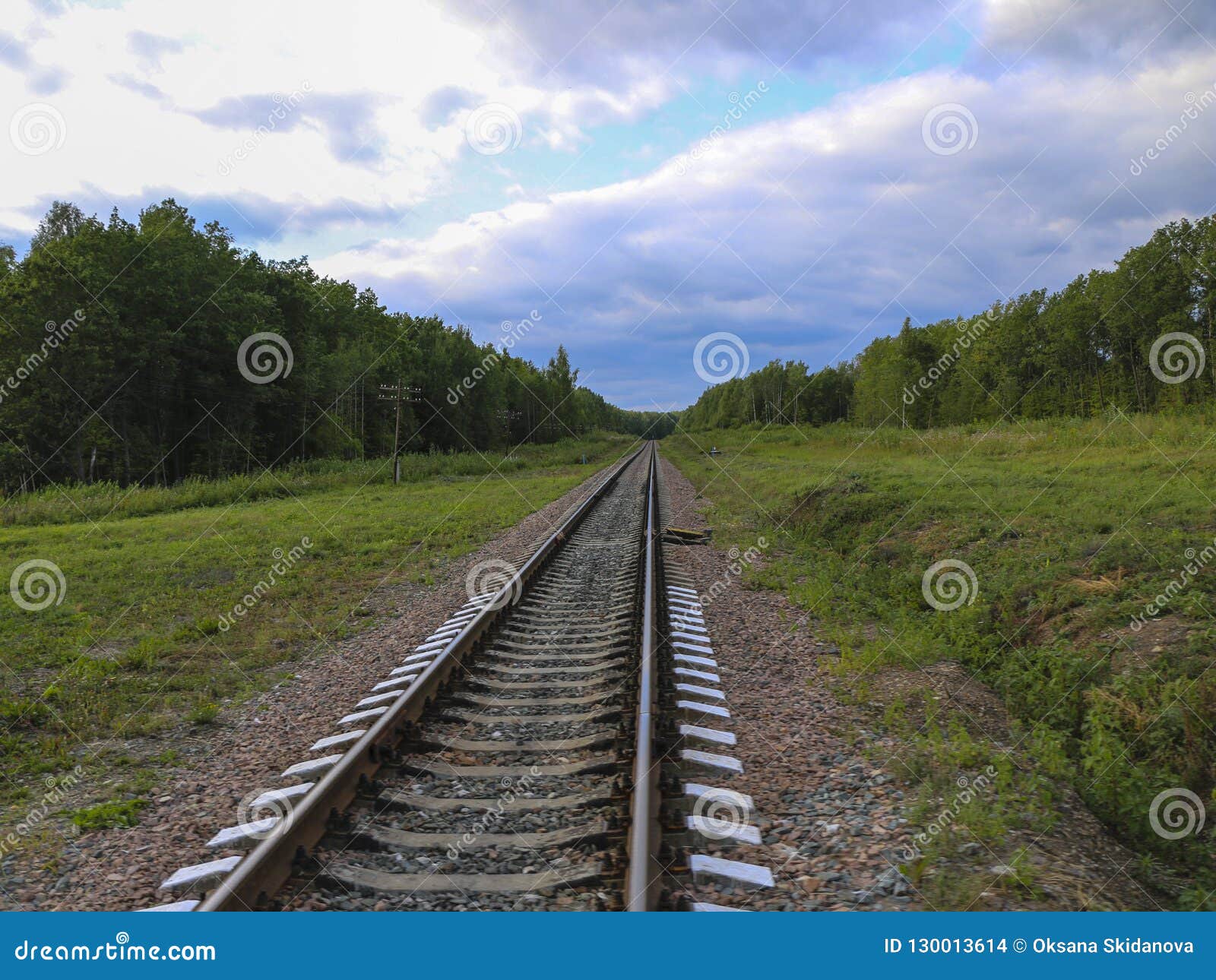 Railway. Railway Tracks among Green Forest and Grass. Empty Rails ...