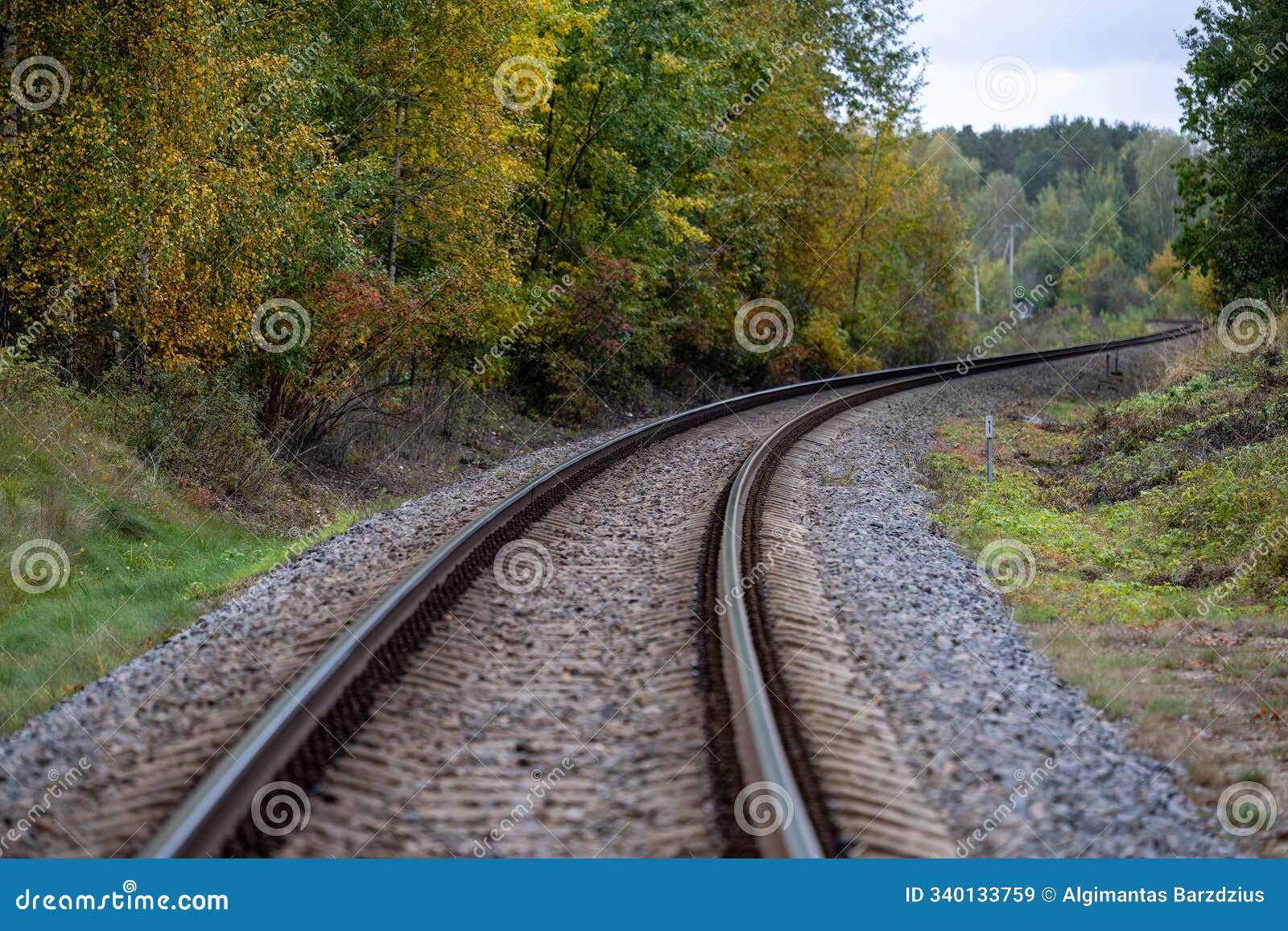 Railway Tracks Curve through the Autumn Forest Stock Image - Image of ...