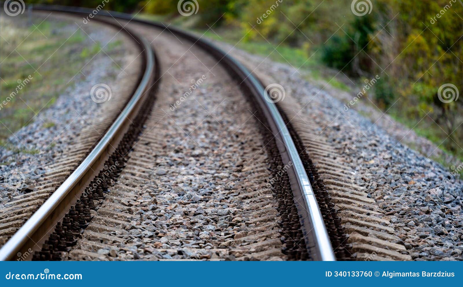Railway Tracks Curve through the Autumn Forest Stock Photo - Image of ...