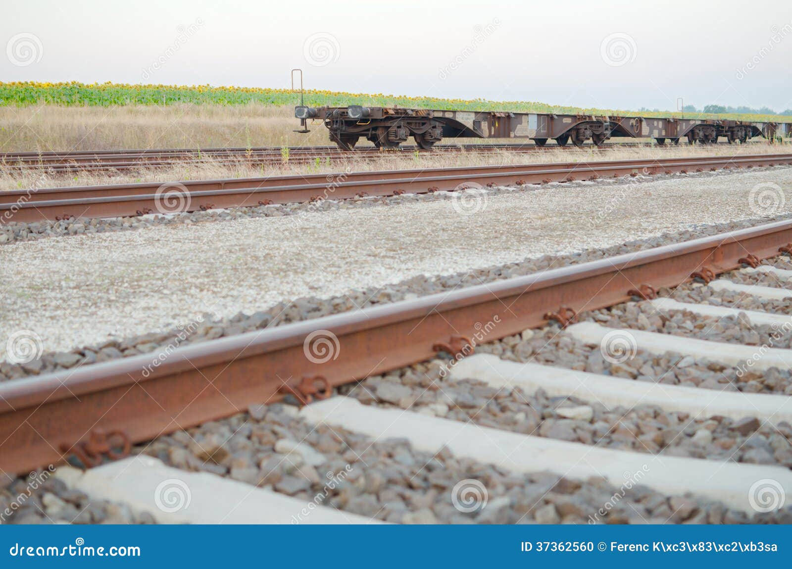 Railway Tracks with Empty Open Wagons Sidewards Stock Photo - Image of ...