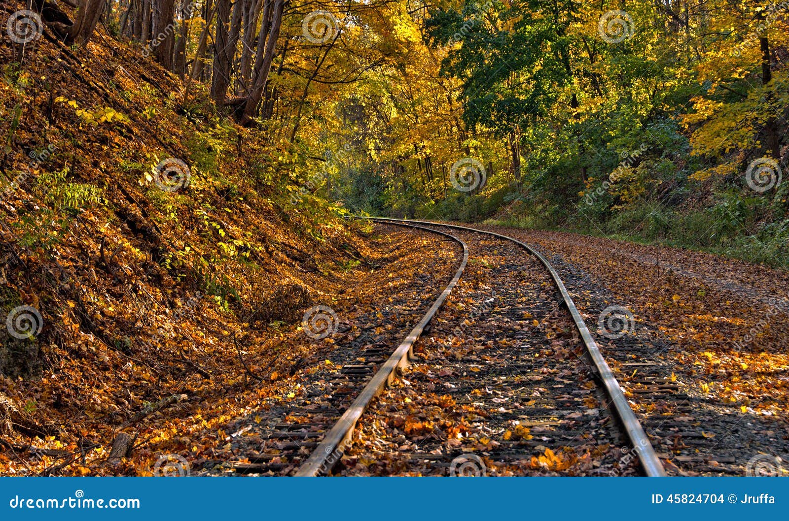 Railway Tracks with Fall Foliage Stock Photo - Image of railway ...