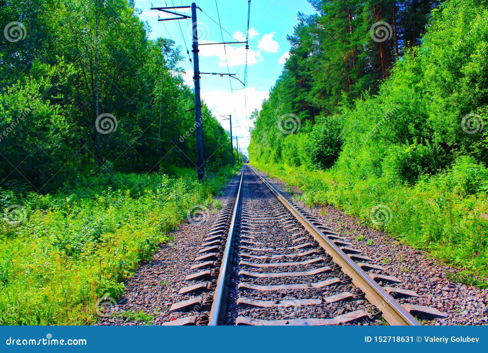 Railway Tracks through the Forest and Approaching Train Stock Image ...